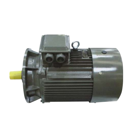 Special motor for stone machinery-Zhejiang Pinyi Motor Co, Ltd.